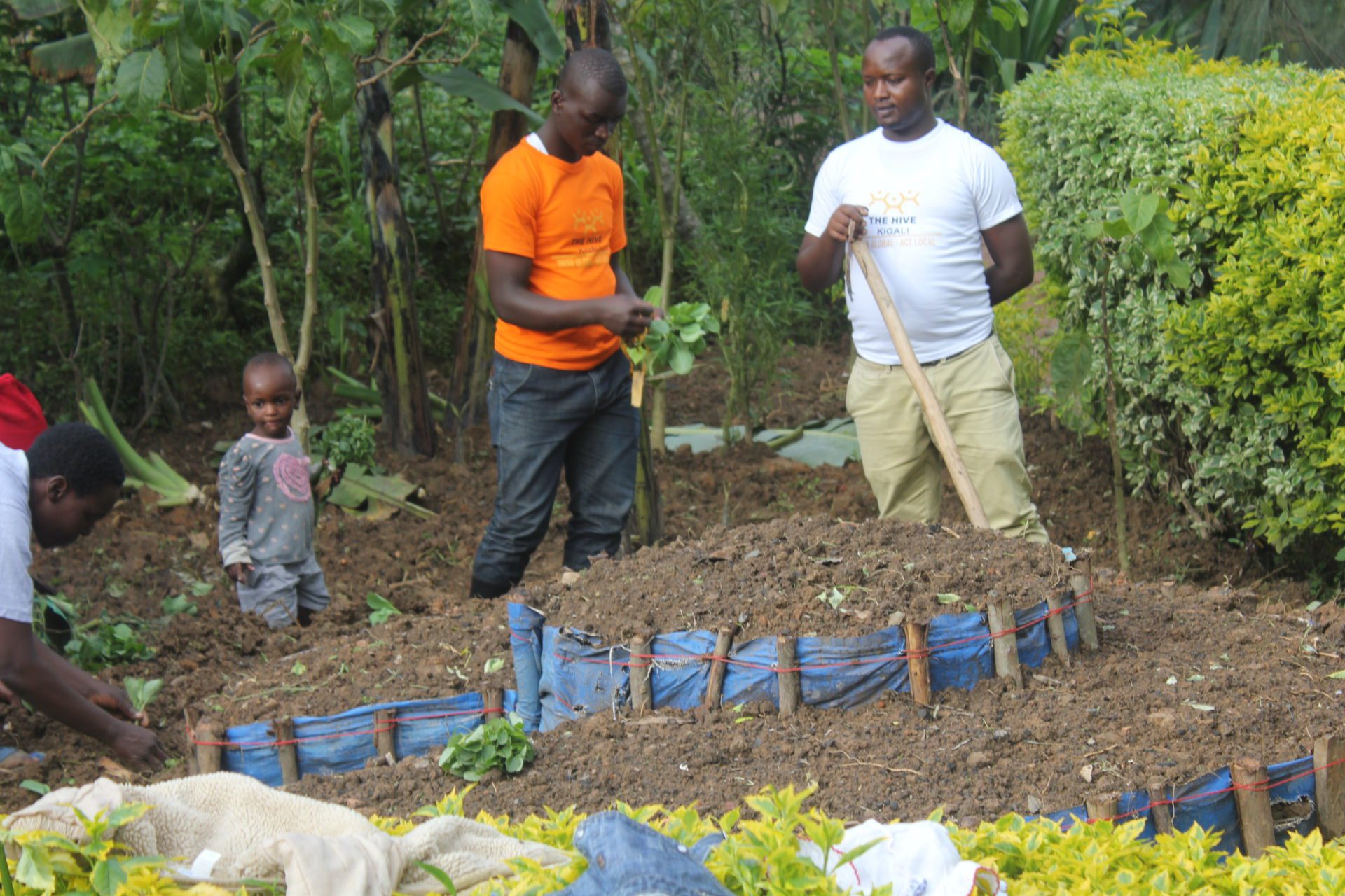 Rwandan Climate Change Perceptions and Forest Air Pollution Mitigation ...