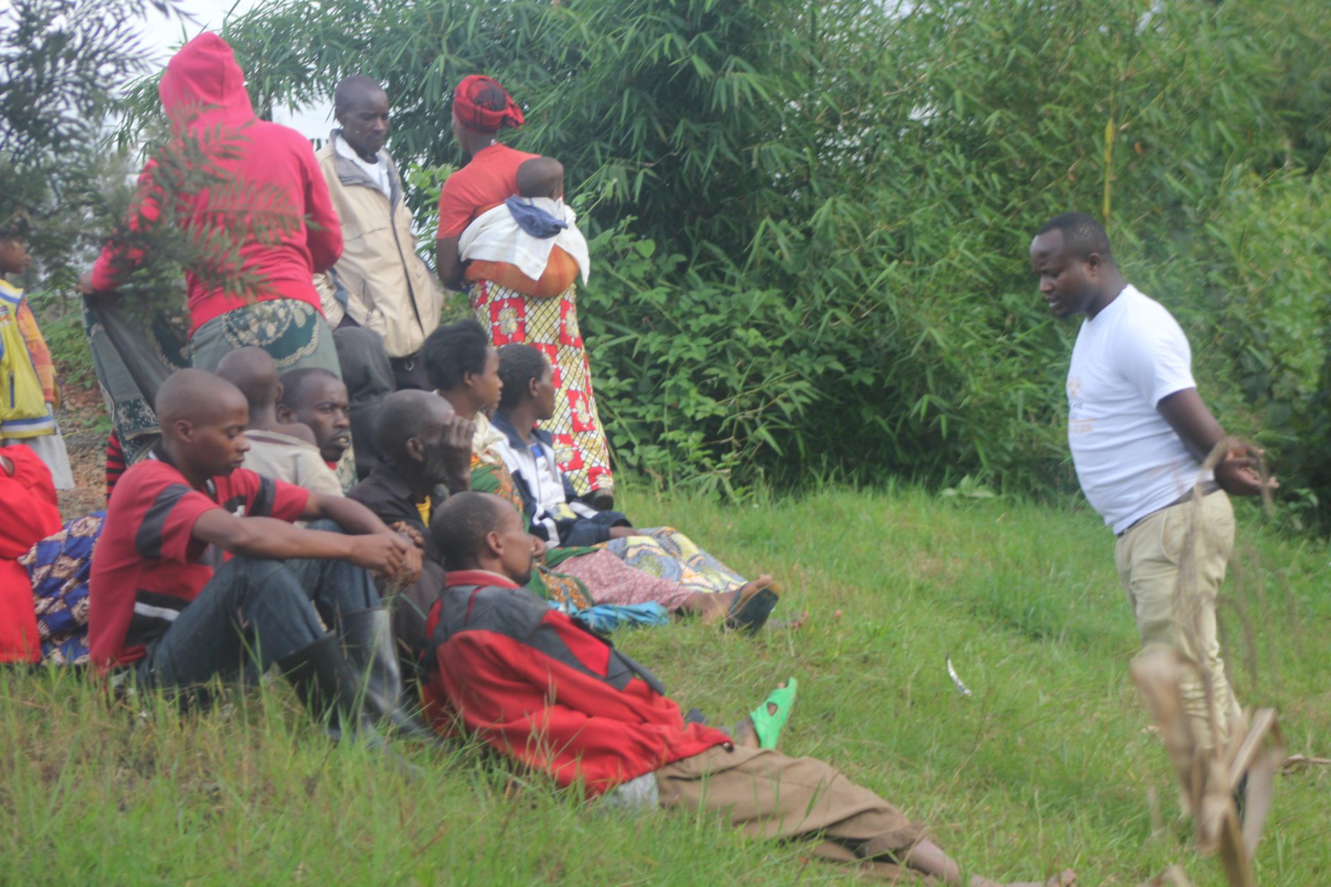 Rwandan Climate Change Perceptions and Forest Air Pollution Mitigation ...