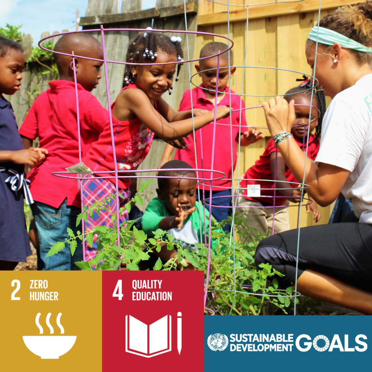 Sponsor Environmental Action | Fund Eco-Action Projects | IDEAS For Us