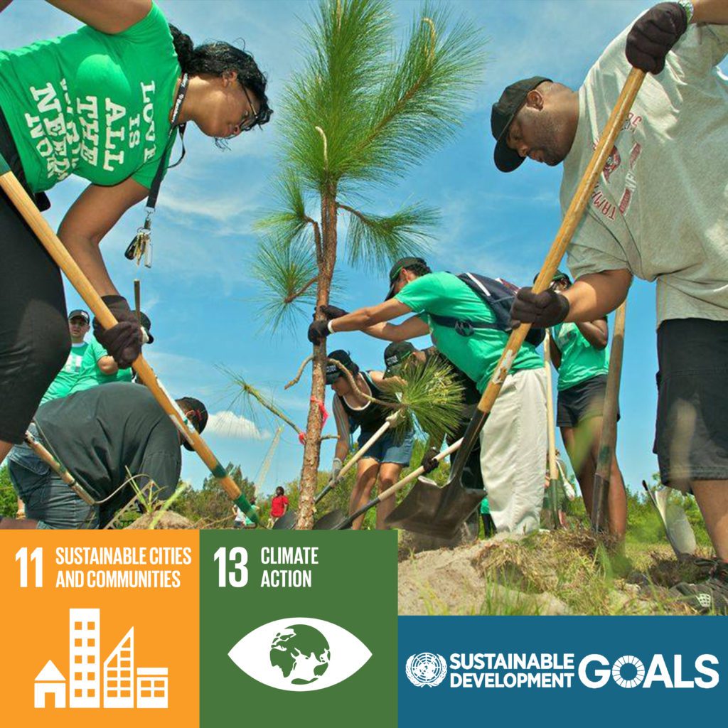SDG square tree planting - IDEAS For Us