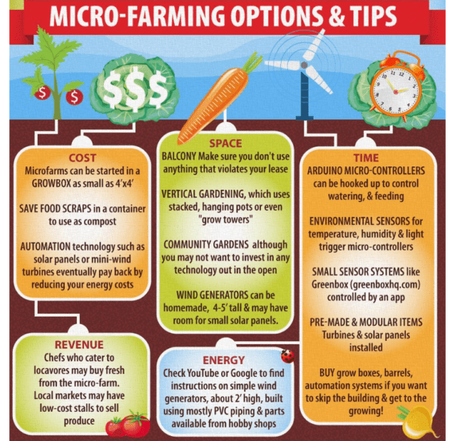 micro farming tips - IDEAS For Us