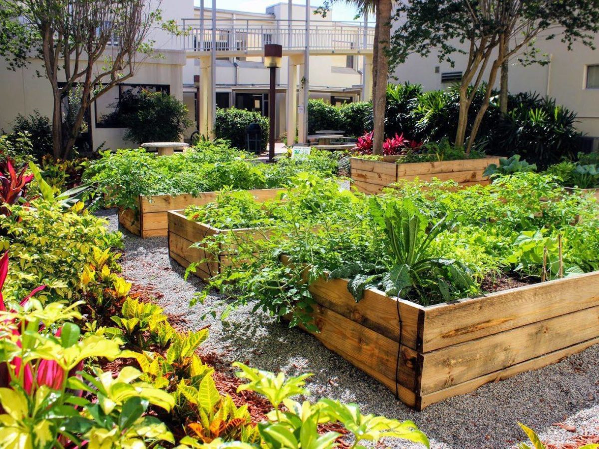 Ditch Lawns, Grow Gardens - IDEAS For Us