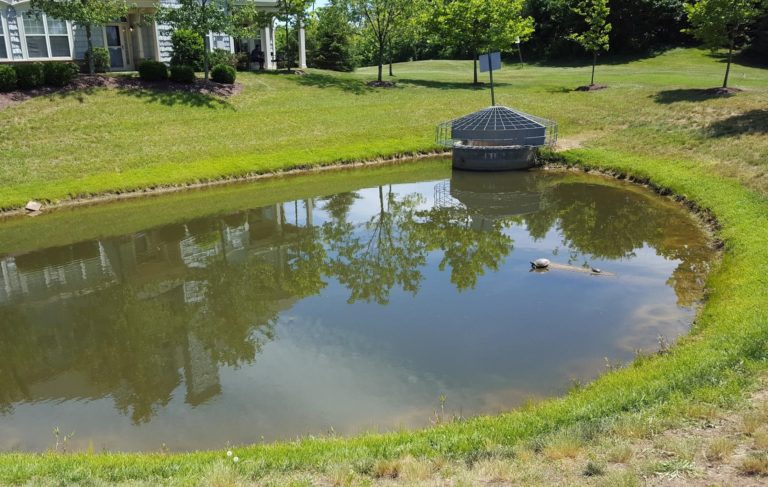 retention ponds - IDEAS For Us