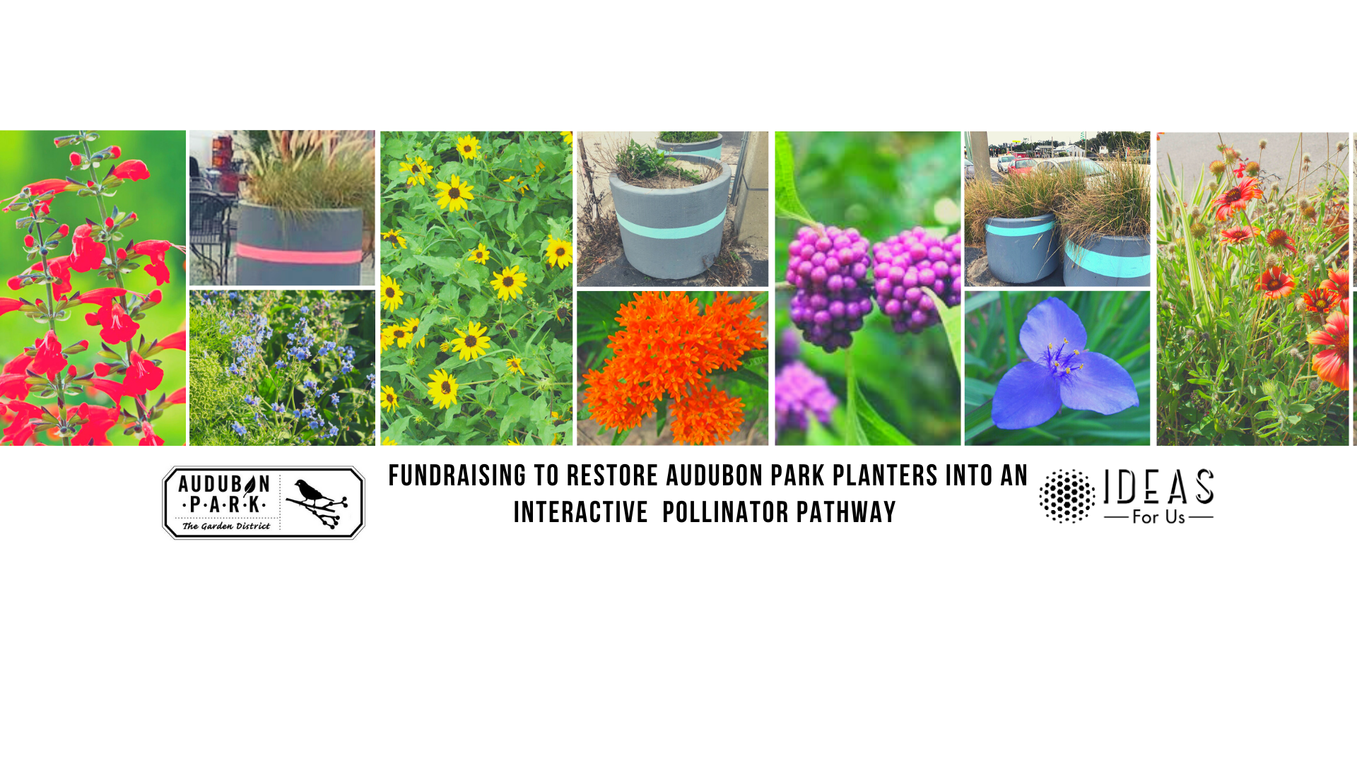 Copy of Photo Collage Exhibit Event Program (2) - IDEAS For Us