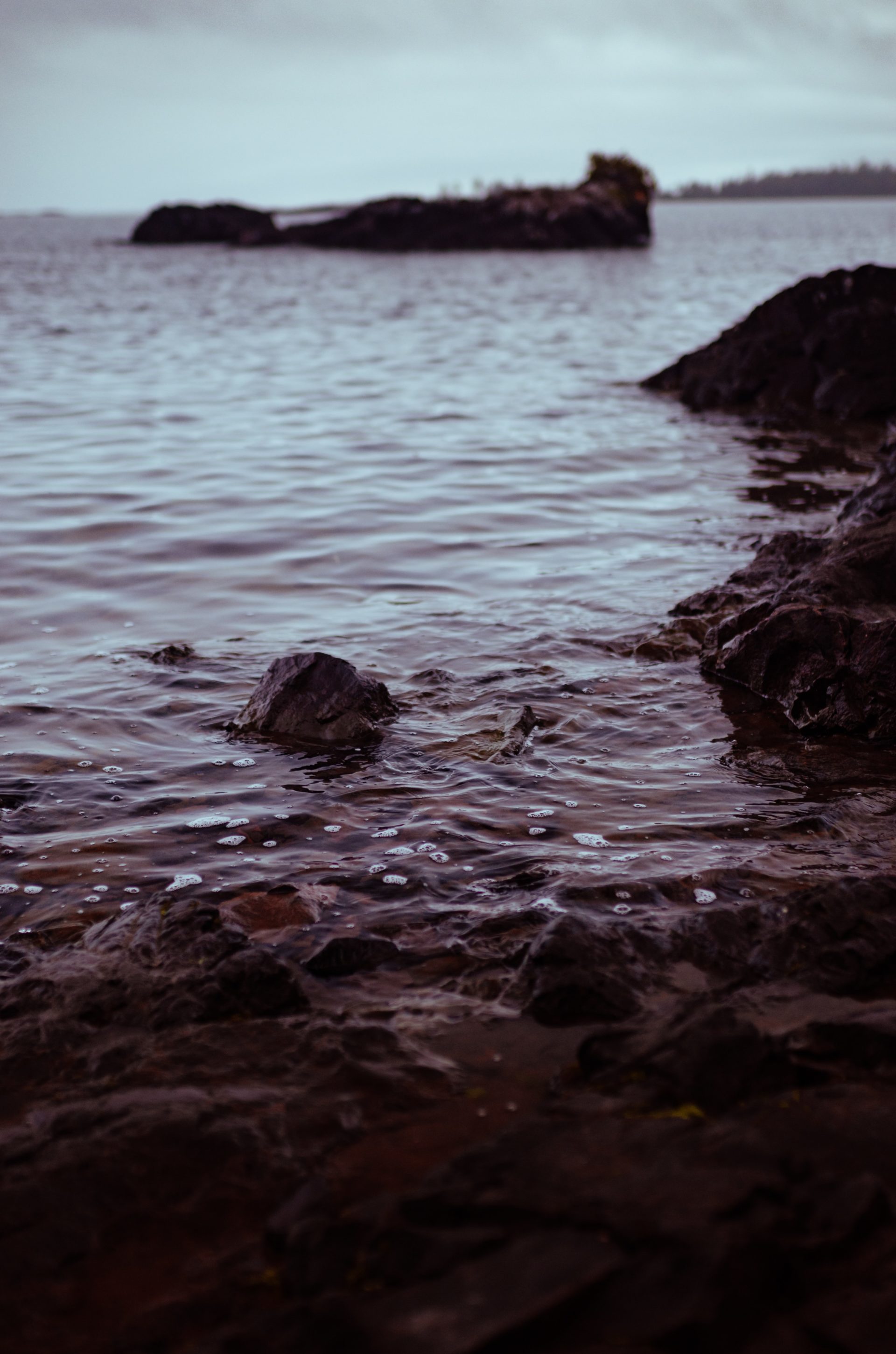 riley-crawford-Y8ionC2oAbE-unsplash - IDEAS For Us