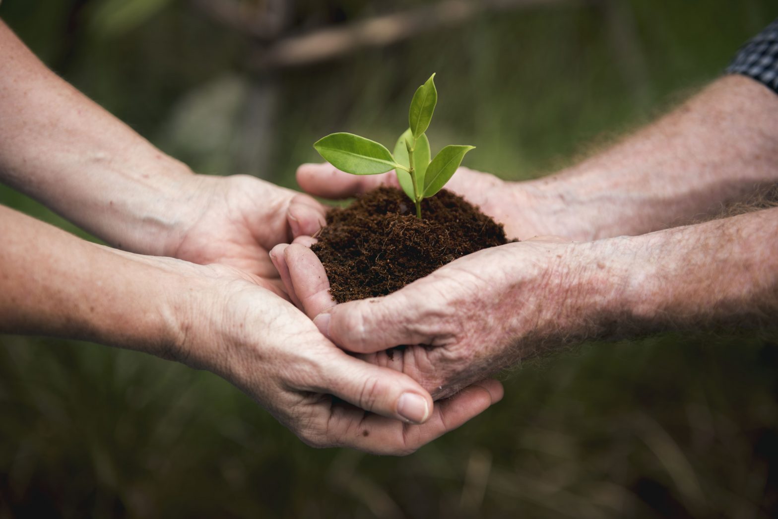 Sponsor Environmental Action | Fund Eco-Action Projects | IDEAS For Us