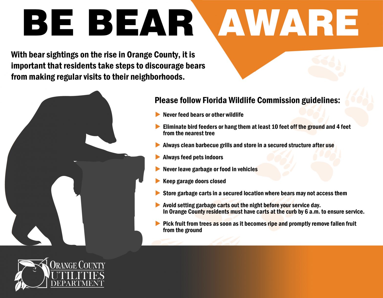 The Florida Black Bear: Living Bear Aware - IDEAS For Us