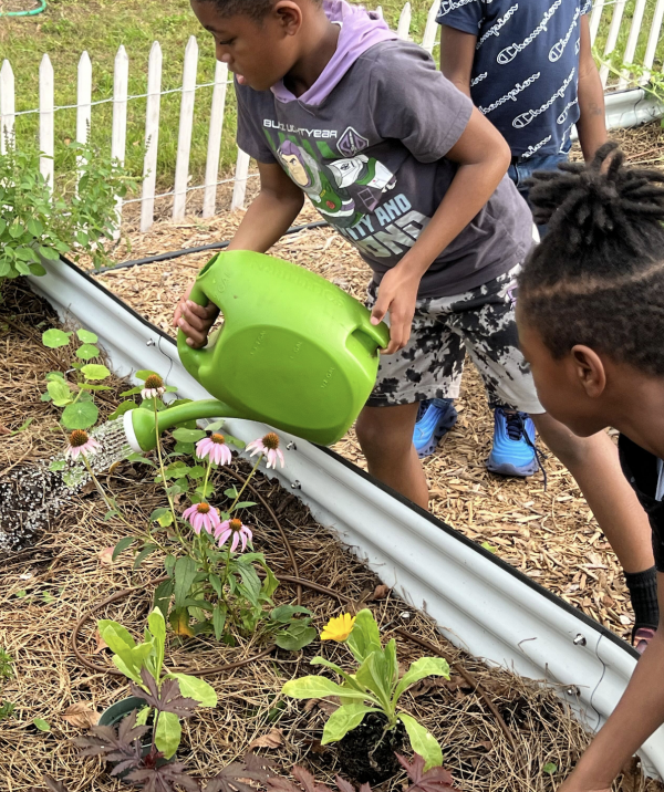 School Gardens: Why Gardening is Important for Children's Learning ...