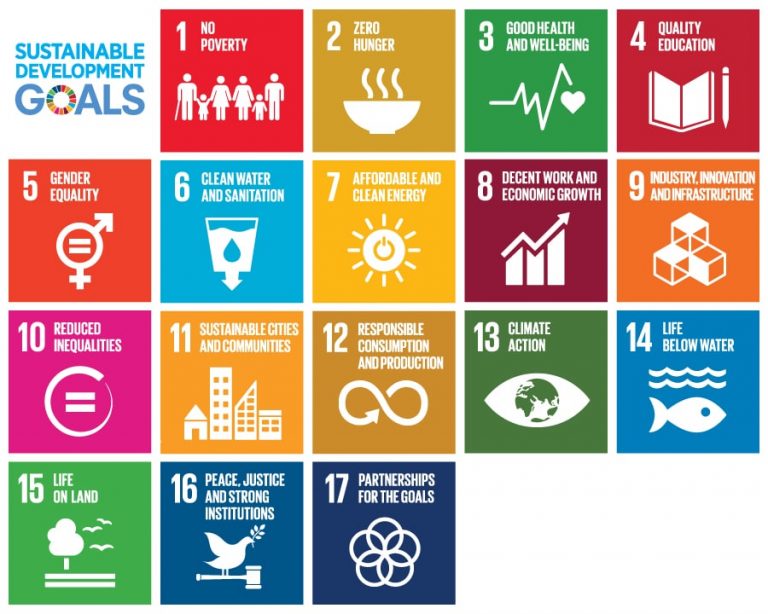 17 UN SDGs: How IDEAS for US is Making a Sustainable Impact - IDEAS For Us