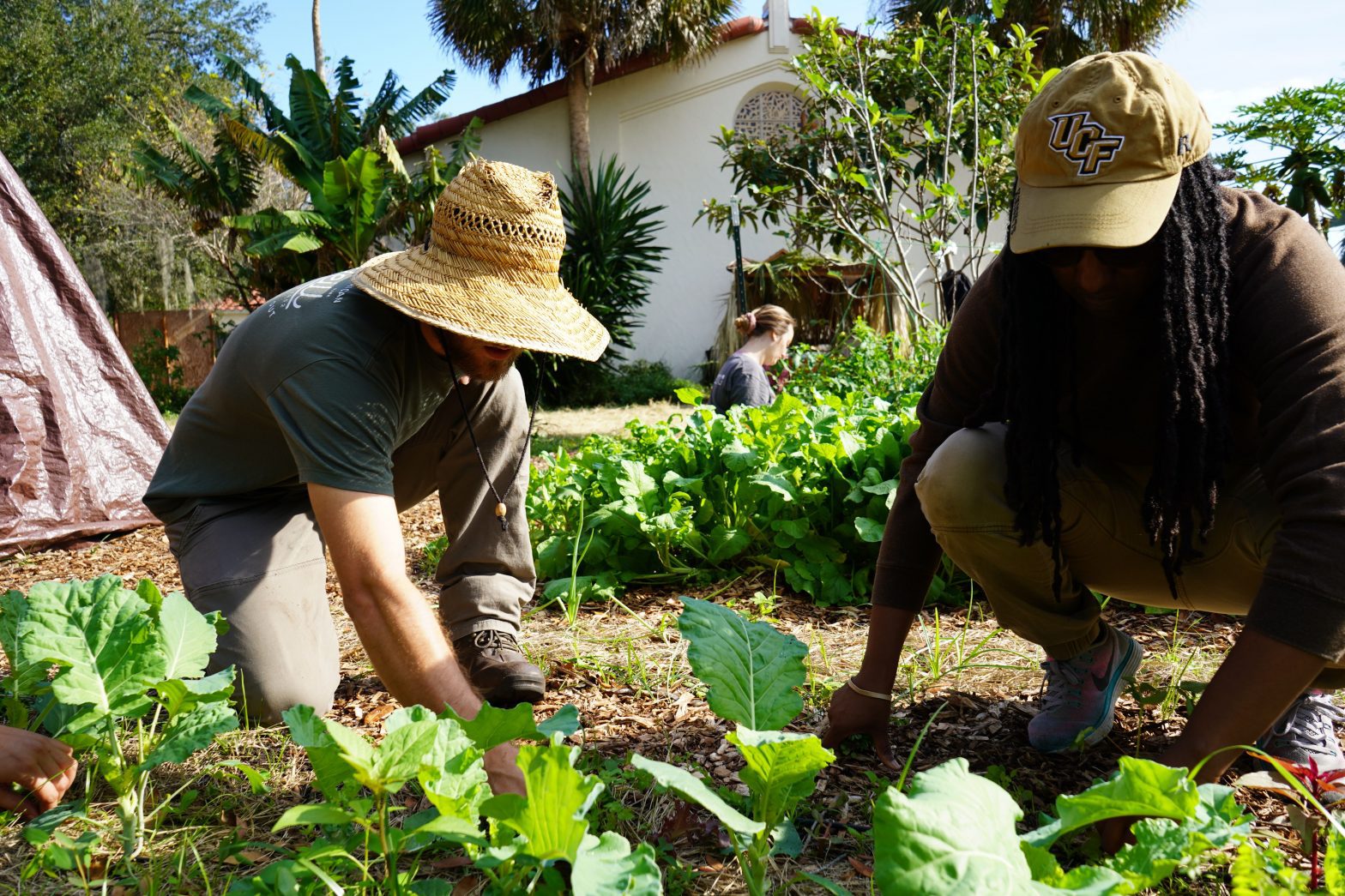 Food Security Among Sebastian Seniors - IDEAS For Us